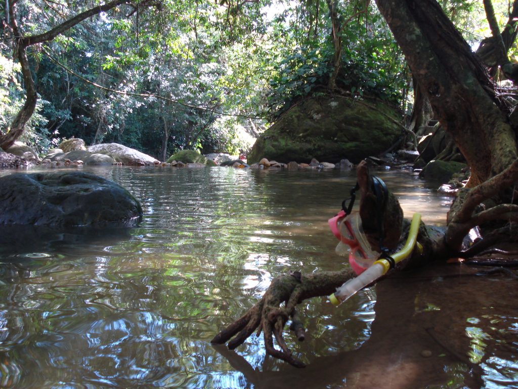 Visitando la ciudad de Melgar - Ecoturismo Colombia